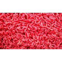 Maggots, Casters, Pinkies & Squat - Willow Grange Tackle & Bait