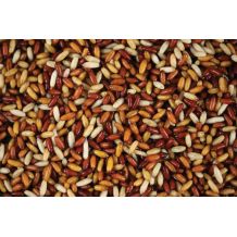 Maggots, Casters, Pinkies & Squat - Willow Grange Tackle & Bait